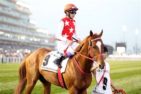 日本馬の歴史 2023ドバイゴールデンシャヒーン Jra Van World 海外競馬情報サイト