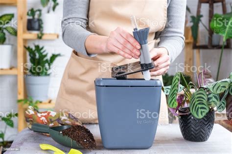 자동 급수가있는 식물 용 냄비 Calathea를 이중 냄비에 이식 물 뿌리개에서 물을주기 물 탱크 조립 30 34세에 대한 스톡