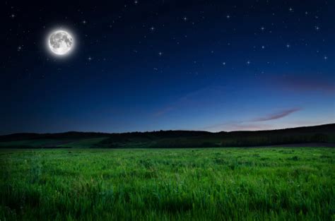 30000 Night Grass Pictures Download Free Images On Unsplash