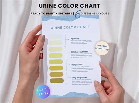 Urine Color Chart Dehydration Level Guide Editable Canva Template