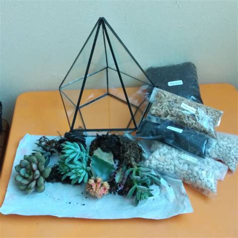 Jual Terrarium Kit Terrarium Kaktus And Sukulen Terrarium Terarium