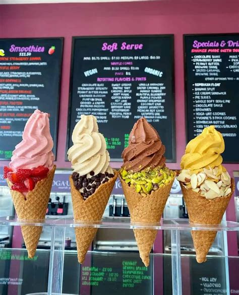 Dairy Free Frozen Yogurt Best Brands And Recipes