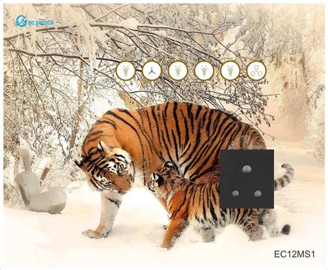 Customized Smart Switch Socket For Home Plastic At Rs 10000 In Coimbatore