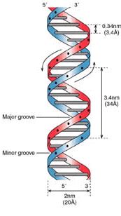 Dissection Of Creation Audio Programming Skeleton Notes