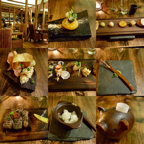 The Mid 2016 Gastro Tour 2 Santiago Casual Saltshaker