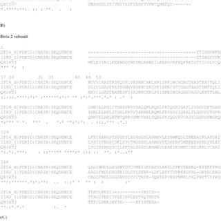 Multiple sequence alignment corresponding to the β1 subunit sequences