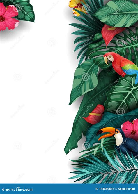 Sistema De La Colecci n De Las Plantas Tropicales Y De Los P jaros Stock de ilustración