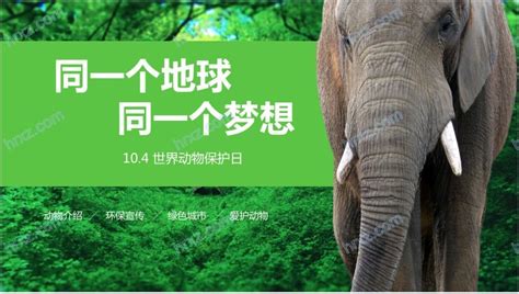 世界野生动物保护日ppt模板 Hr下载网