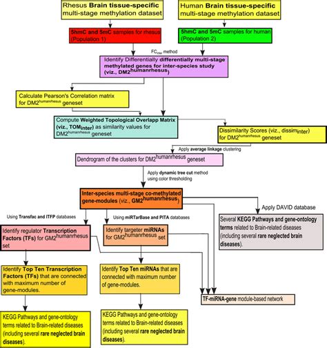 Flowchart Of The Proposed Framework Of Gene Module Detection For Download Scientific Diagram