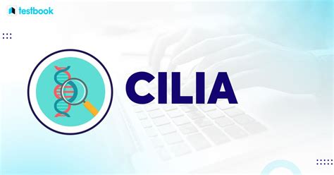 Understanding Cilia Definition Types Structure Function And Disorders Testbook