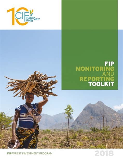 Pdf Fip Monitoring And Reporting Toolkit · Fip Monitoring N Reporting