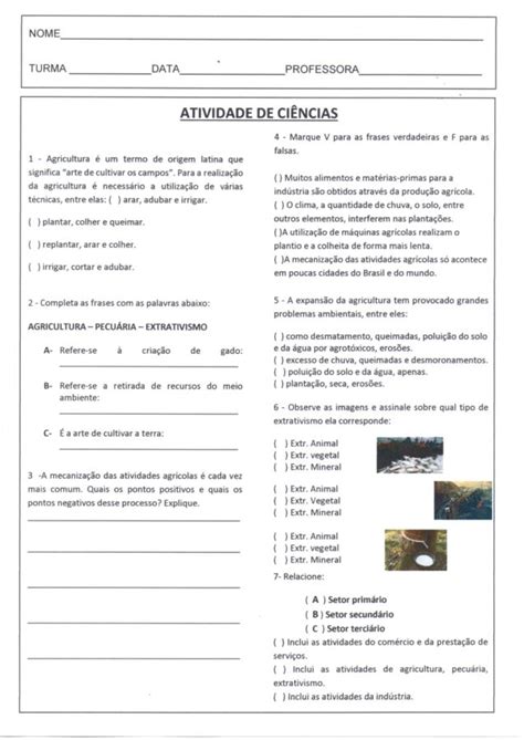 Atividades De Ciências Meio Ambiente · Alfabetização Blog