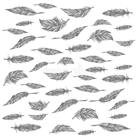 Feather Pattern Hand Drawn Style Stock Vector Illustration Of Natural