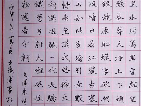内乡县硬笔书法大赛特邀王广军老师作品欣赏