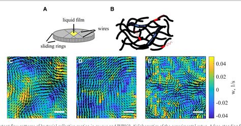 Figure 1 From Viscoelasticity Enhances Collective Motion Of Bacteria