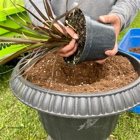 How To Make Beautiful Flower Pots At Home Easy Plant Steps