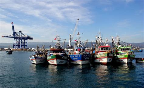 Una Flota De 300 Barcos Chinos Amenaza A Pescadores Artesanales
