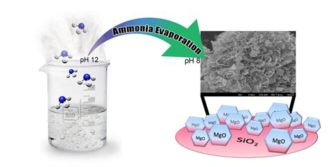Evaporation Method Chemistry At Julie Neel Blog