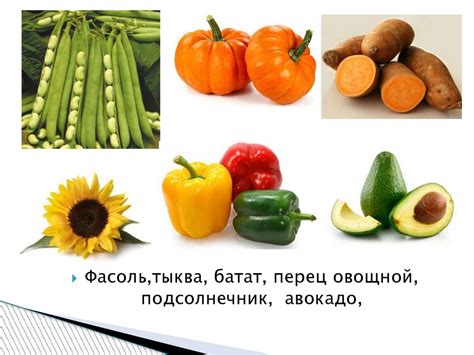 Центры происхождения культурных растений - презентация онлайн
