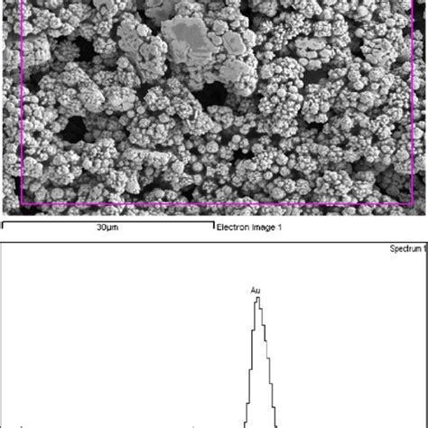 Typical Scanning Electron Micrographs 1000×magnification Showing The