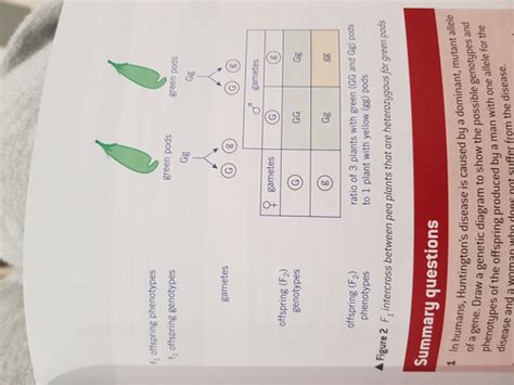 NSAA Biology Flashcards Quizlet