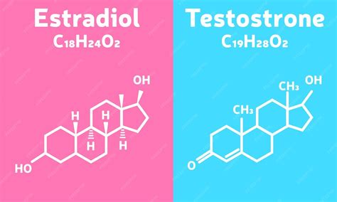 Premium Vector Chemical Formula Estradiol And Testosterone Man And