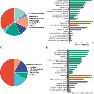 Functional Classification Of Subcellular Localization And Gene Ontology