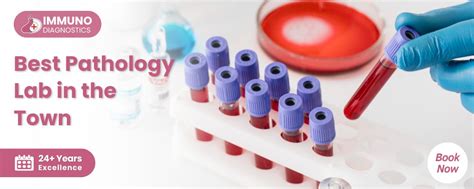 Diagnostic And Pathology Lab In Noida Immuno Diagnostics