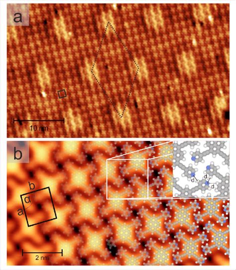 Self Assembly Of 1368 Tetrakispyridin 4 Ylethynylpyrene 1 Tetra