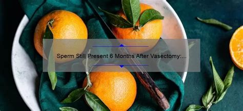 Sperm Still Present 6 Months After Vasectomy What You Need To Know