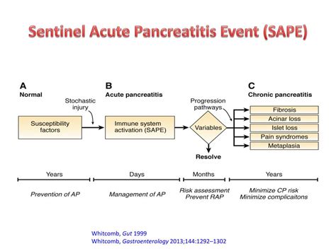 Ppt Autoimmune And Hereditary Pancreatitis Powerpoint Presentation Id