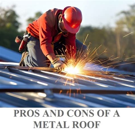 Stream Episode Pros And Cons Of A Metal Roof By Jo Garner Podcast
