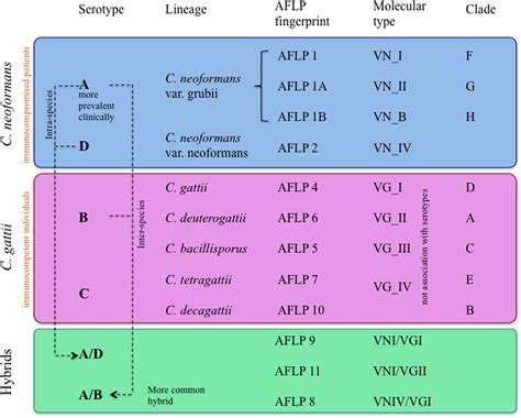 Frontiers Estimating The Intra Taxa Diversity Population Genetic