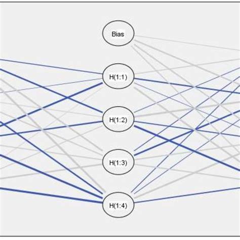 The Anticipated Neural Network Models Notes Hidden And Output Layer