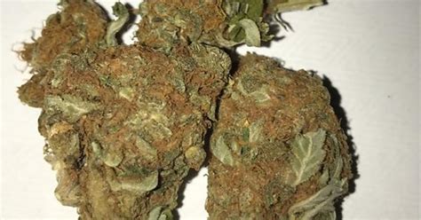 Aussie Trees Imgur