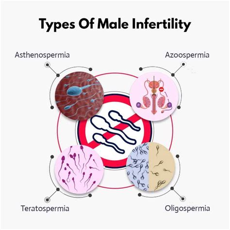 Best Male Infertility Treatment Centre In Ludhiana Punjab