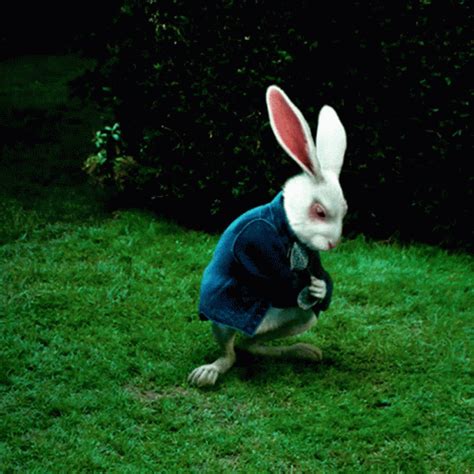Alice In Wonderland S