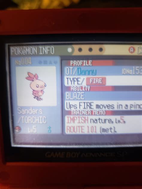 [3] Shiny Torchic In Sapphire Im Pretty Tilted Right Now Because I