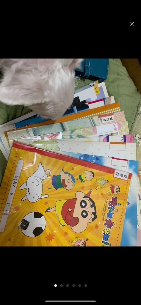 공책 크레파스 색연필 등 당근 중고거래