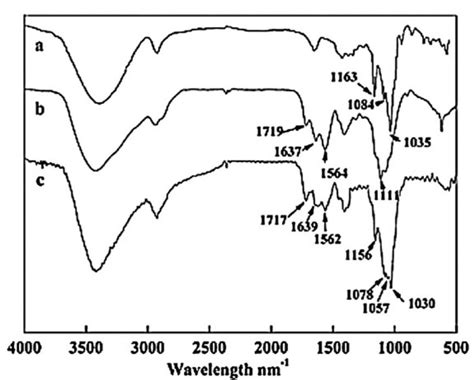 Ft Ir Spectra Of A Cyclodextrin B Cs Paa And C