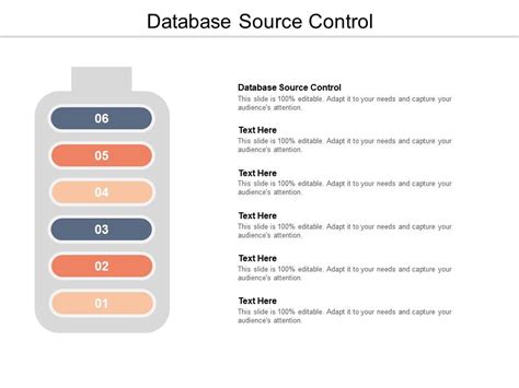 Database Source Control Ppt Powerpoint Presentation Show Example File Cpb Presentation
