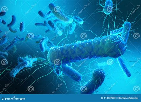 Enterobacterias Gram Negativas Proteobacteria Bacteria Such As