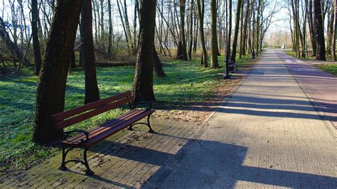 Natuur Planten Bomen Gratis Foto Op Pixabay Pixabay