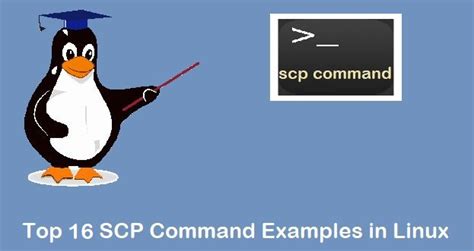 16 Quick Scp Command Examples In Linux
