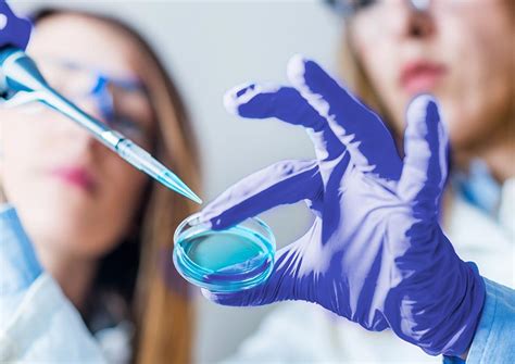Booster For Peptide Mapping And Simplified Sequencing Plabeltech
