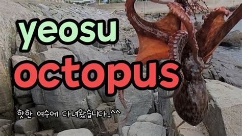 여수 문어낚시를 다녀왔습니다 손맛 징~하게 보고 왔습니다 문어 문어낚시 워킹문어낚시 여수 여수문어 Youtube