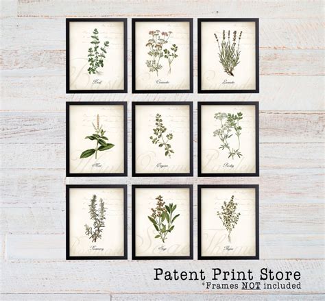 Vintage Herb Botanical Art Prints Kitchen Decor Set Of 9 Etsy