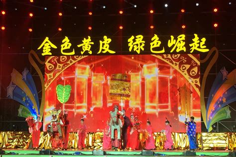 视频！2018郁南无核黄皮节文艺晚会