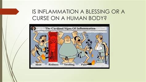 Inflammation And Repair Power Point Presentation Ppt