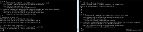 Docker Flannel实践 Csdn博客